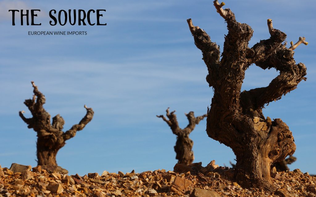 bg - The Source