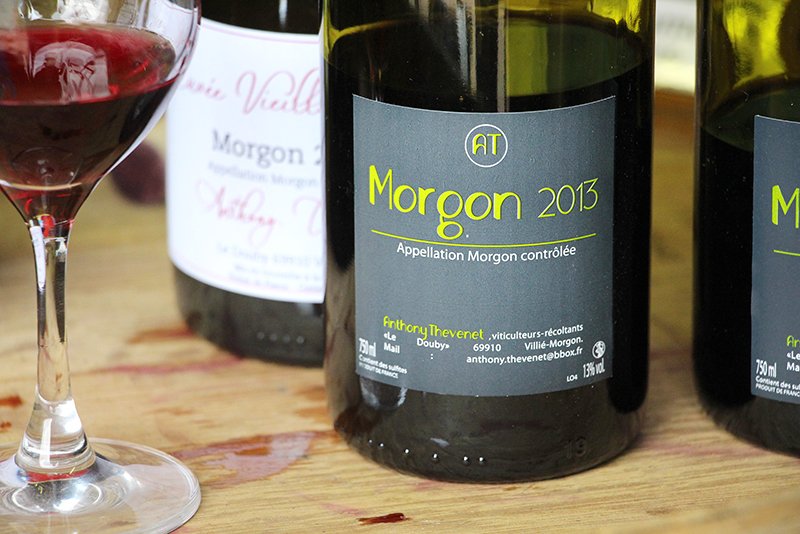 Anthony_thevenet_Morgon_2013 - The Source