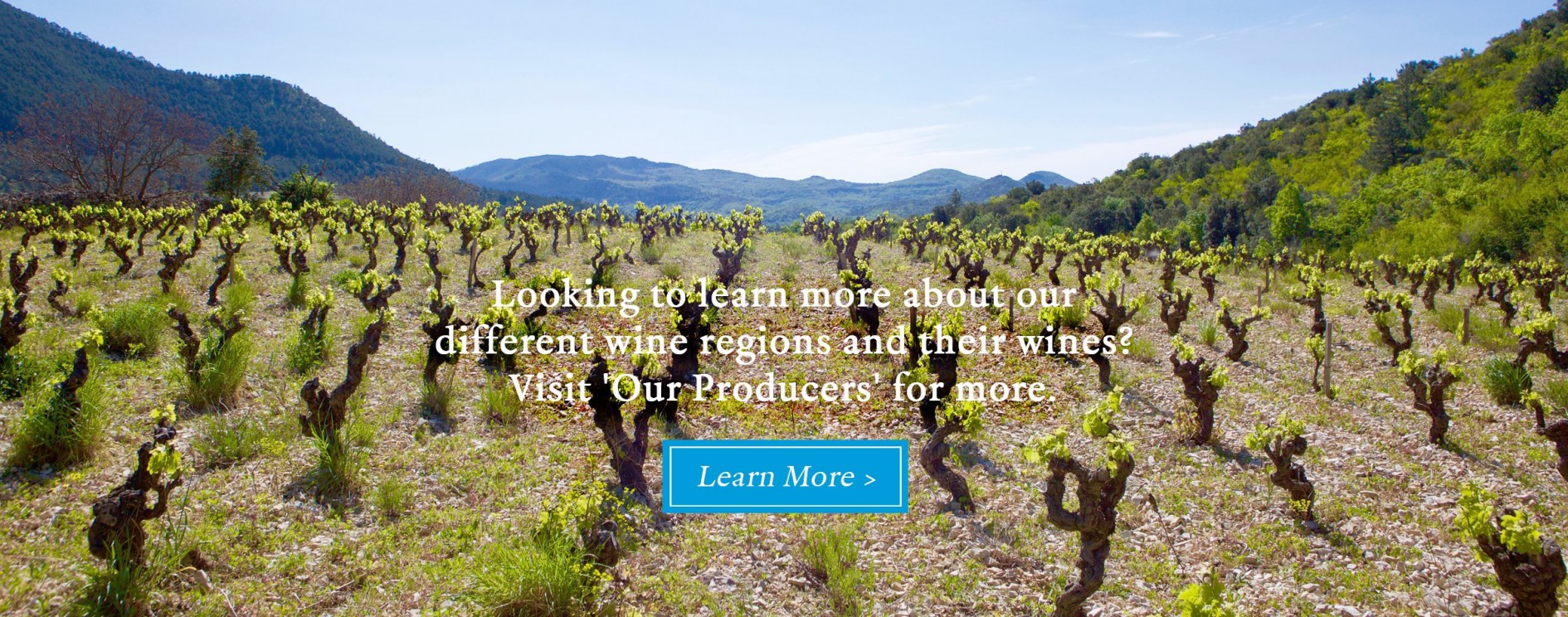Wine regions - The Source