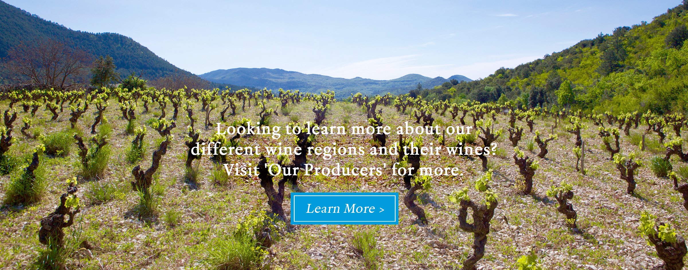 Wine regions - The Source