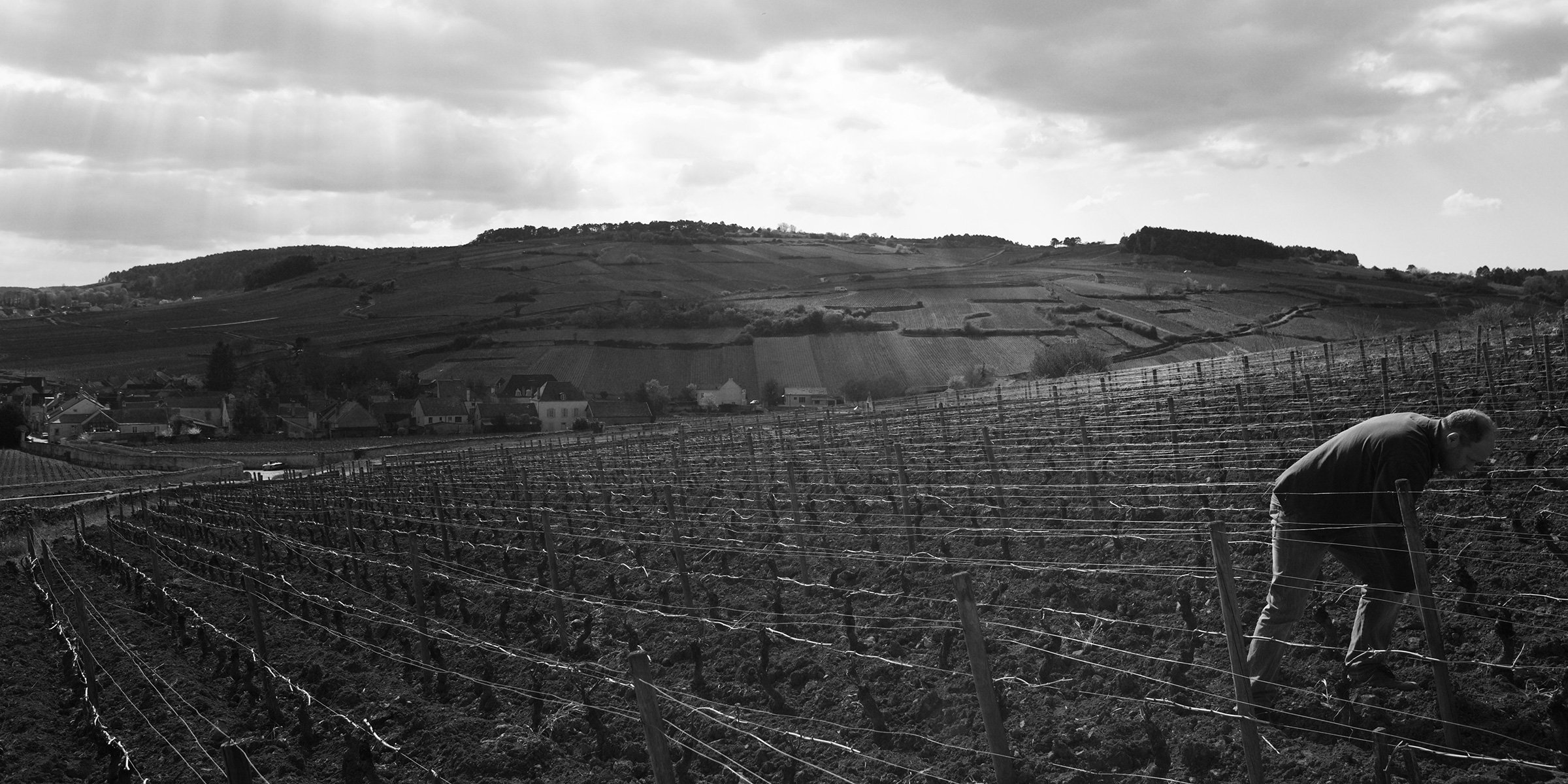demougeot - The Source