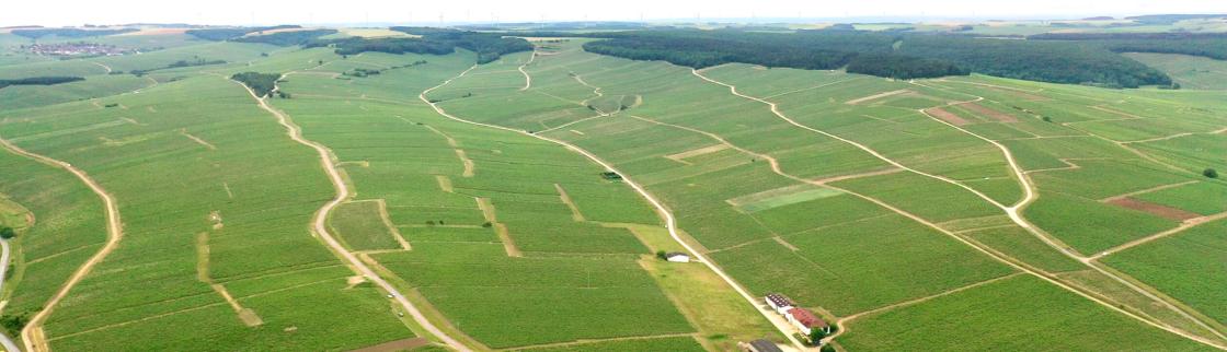 New-Arrivals-headline-shot - The Source