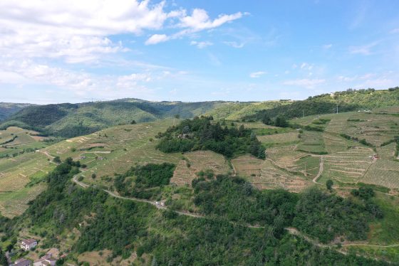 2021 Saint-Joseph, Côtes des Rivoires - The Source