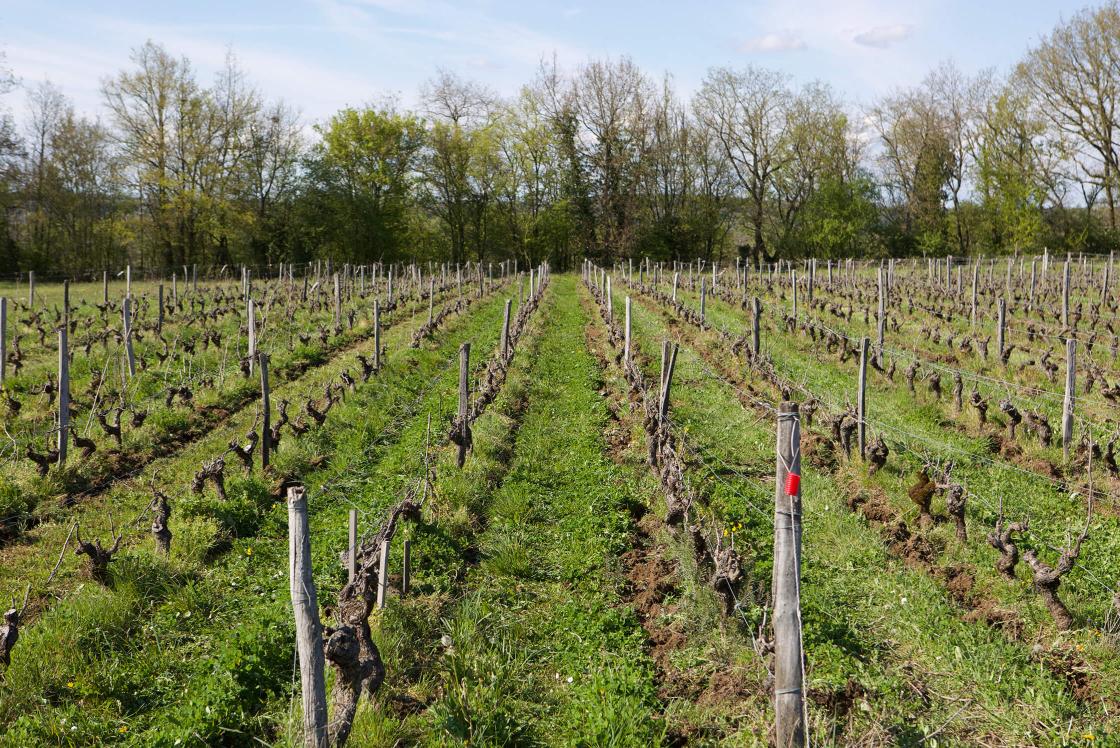 Domaine Vallée Moray - The Source