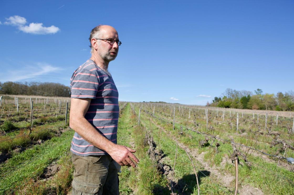 Domaine Vallée Moray - The Source